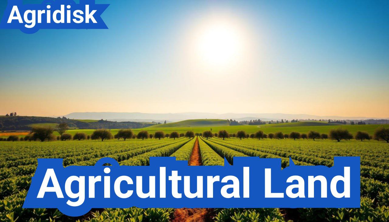 All About Agricultural Land | Meaning, Classification & Examples - Agridisk