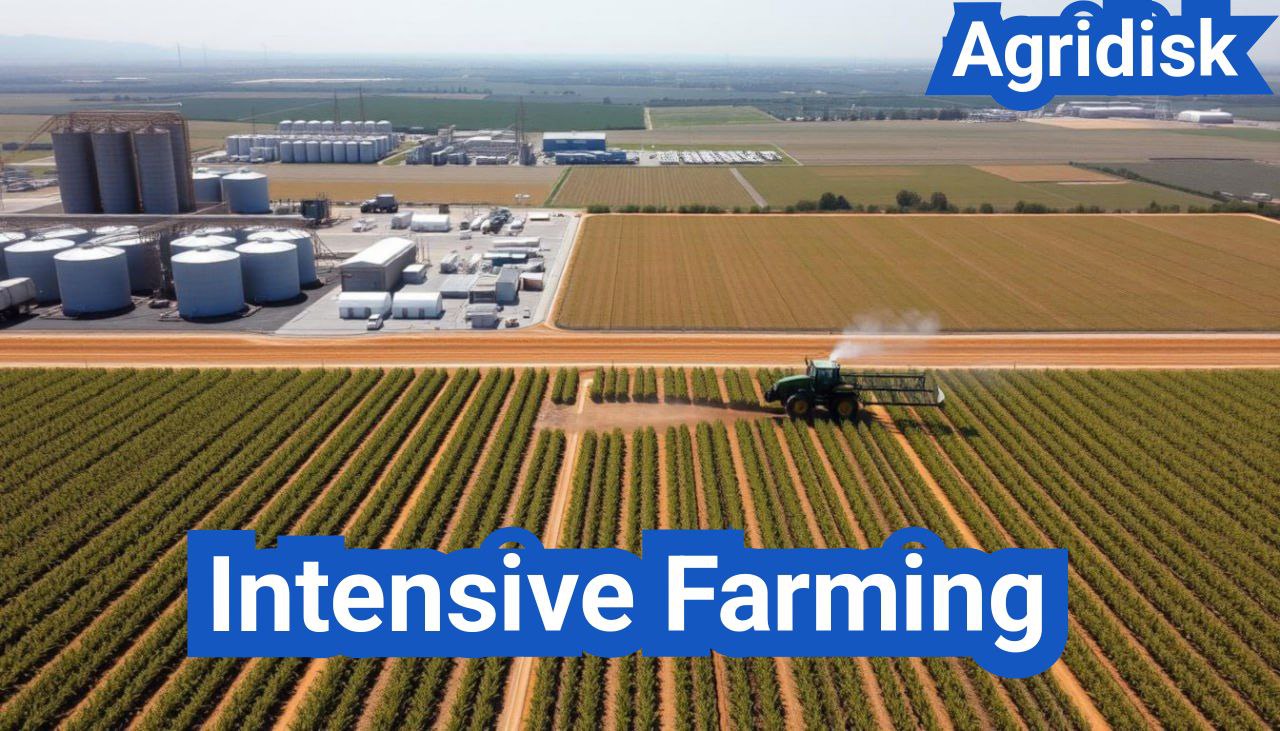 Intensive Farming: Everything You Need to Know - Agridisk