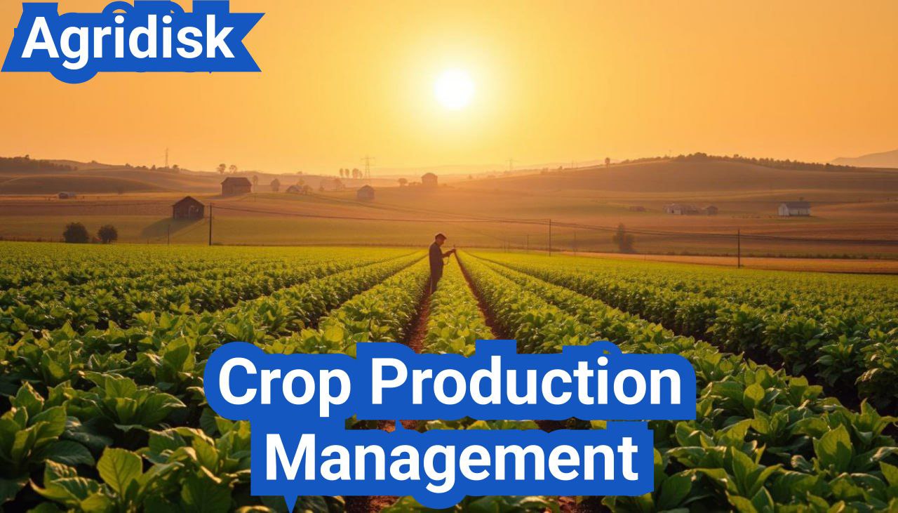 Crop Production Management: Everything You Need to Know - Agridisk