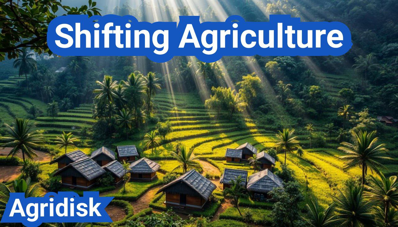 Shifting Agriculture | Definition & Examples - Agridisk